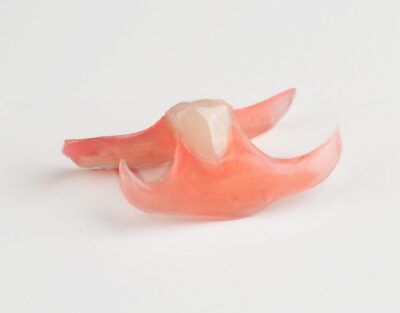Nesbit Flexible Partial Denture Online | Vida Smile Care