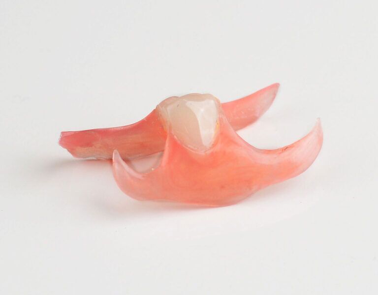 Nesbit Flexible Partial Denture Online | Vida Smile Care
