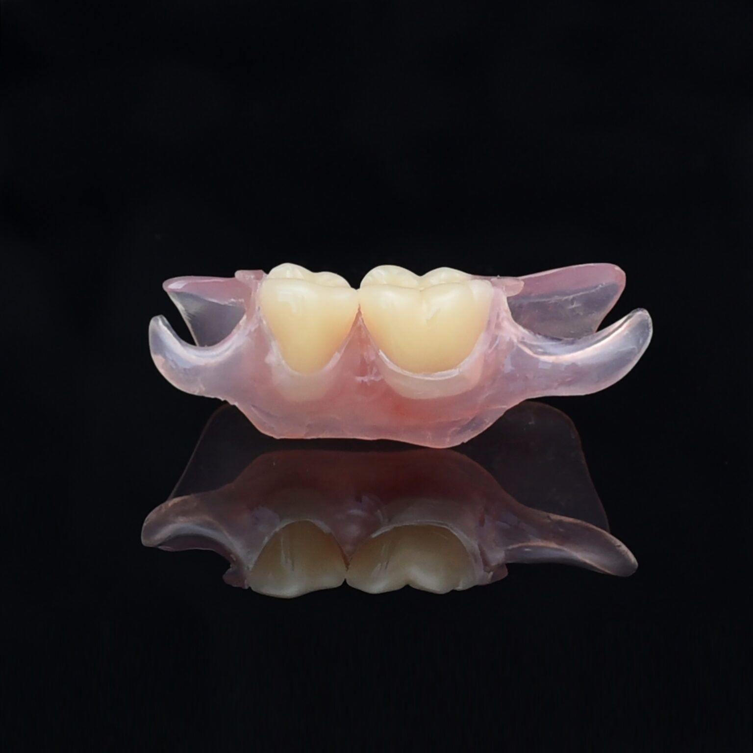 Nesbit Flexible Partial Denture Online | Vida Smile Care